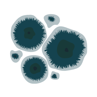 Types of Mold - Austin Air Mold Toolkit